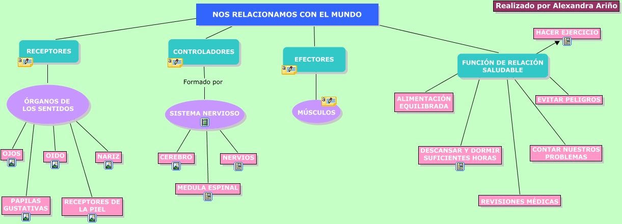 Mapa conceptual - Conocimiento del Medio - ¿Como nos relacionamos con el mundo?