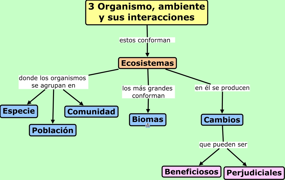 Unidad 3 Organismo ambiente y sus interacciones