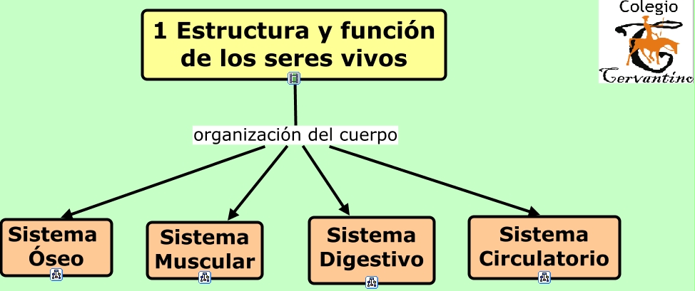 Unidad 1 Estructura y función de los seres vivos
