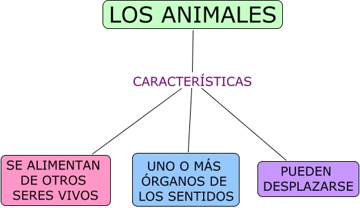 CARACTERISTICAS ANIMALES