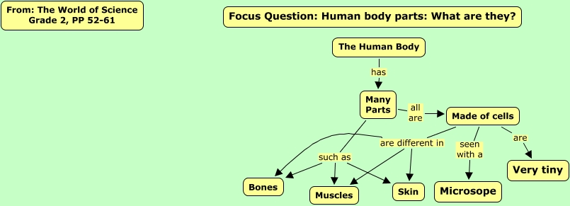 The World of Science, Pages 52-61 - Human Body Parts: what are they and ...