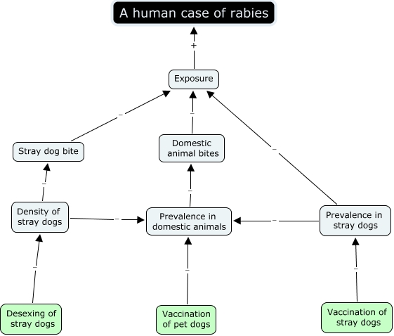 Human_rabies_Samy.cmap