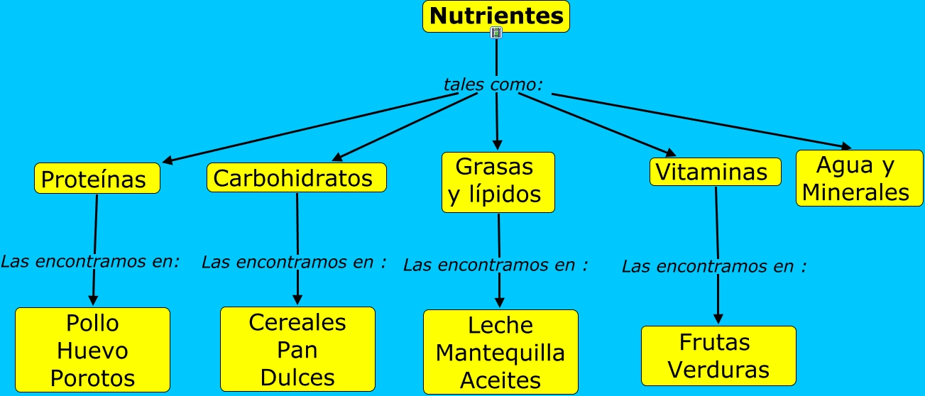Nutrientes