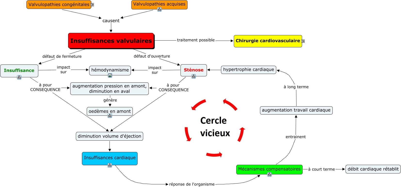 insuffisance valvulaire 5