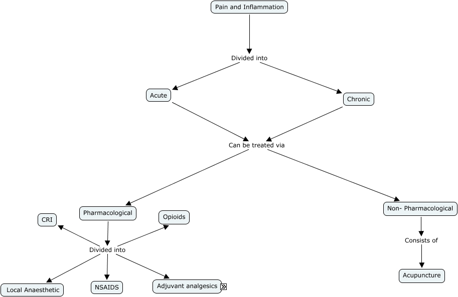 Pain Management 1