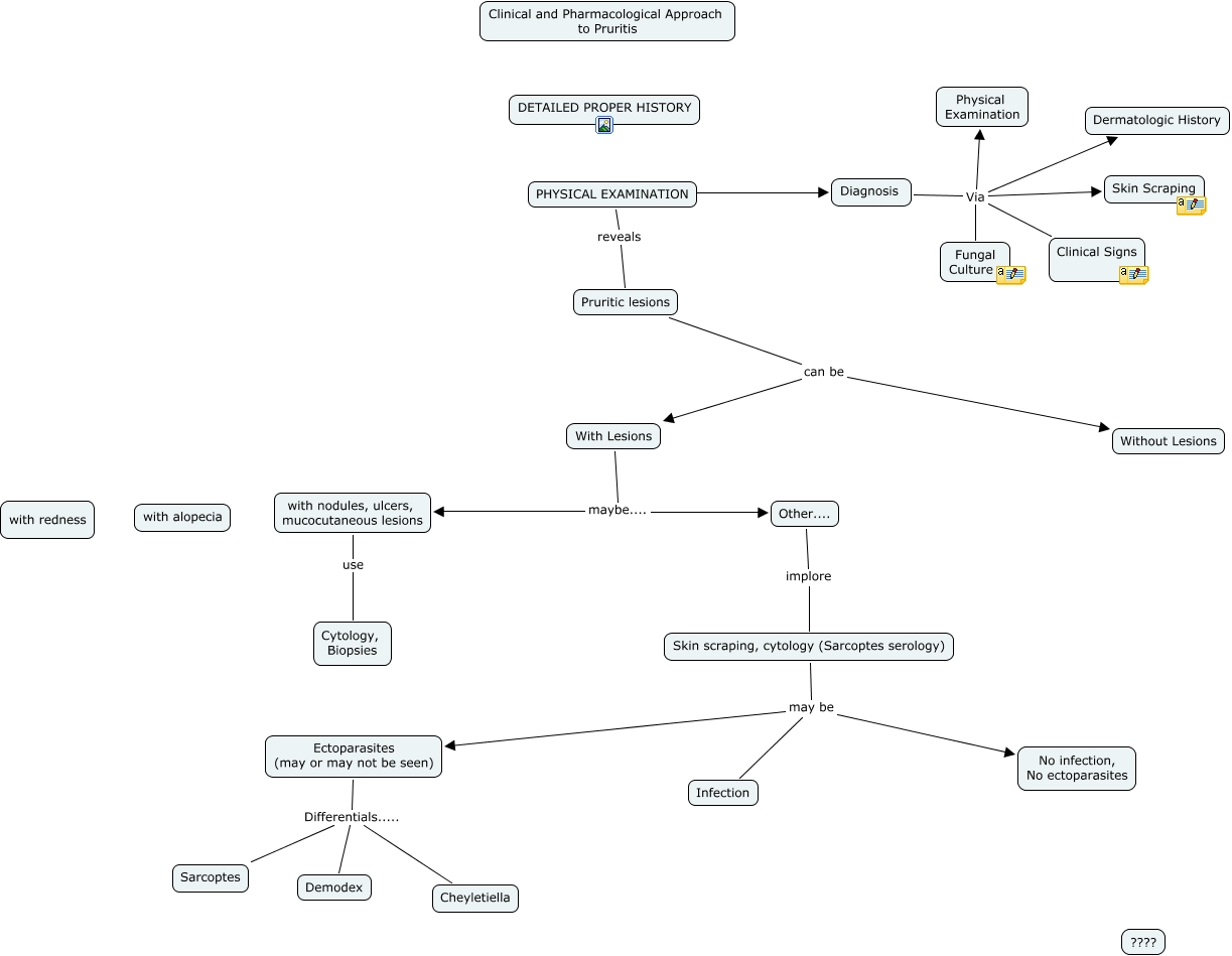 Clinical and Pharmacological Approach to Pruritis