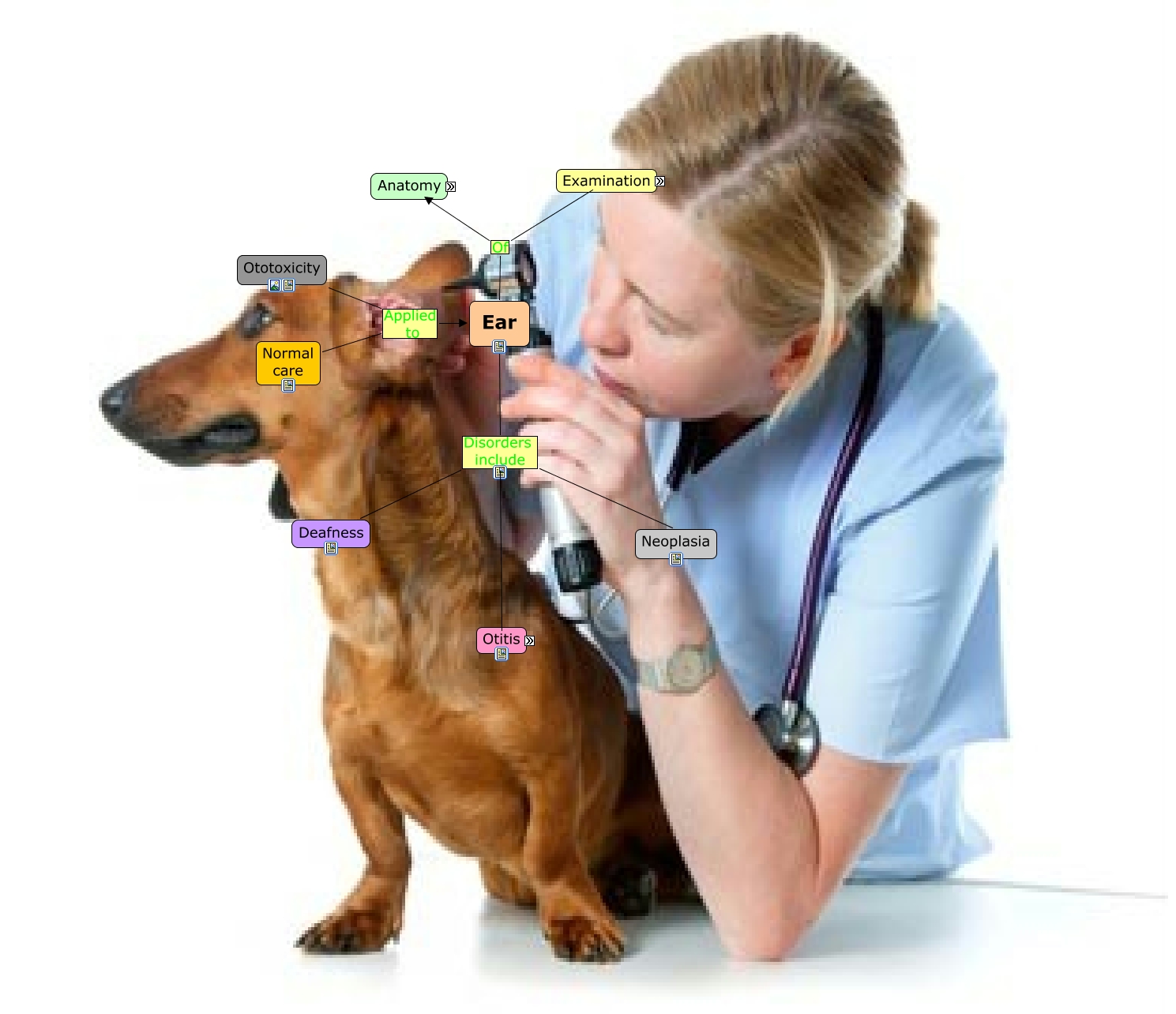Ear diseases