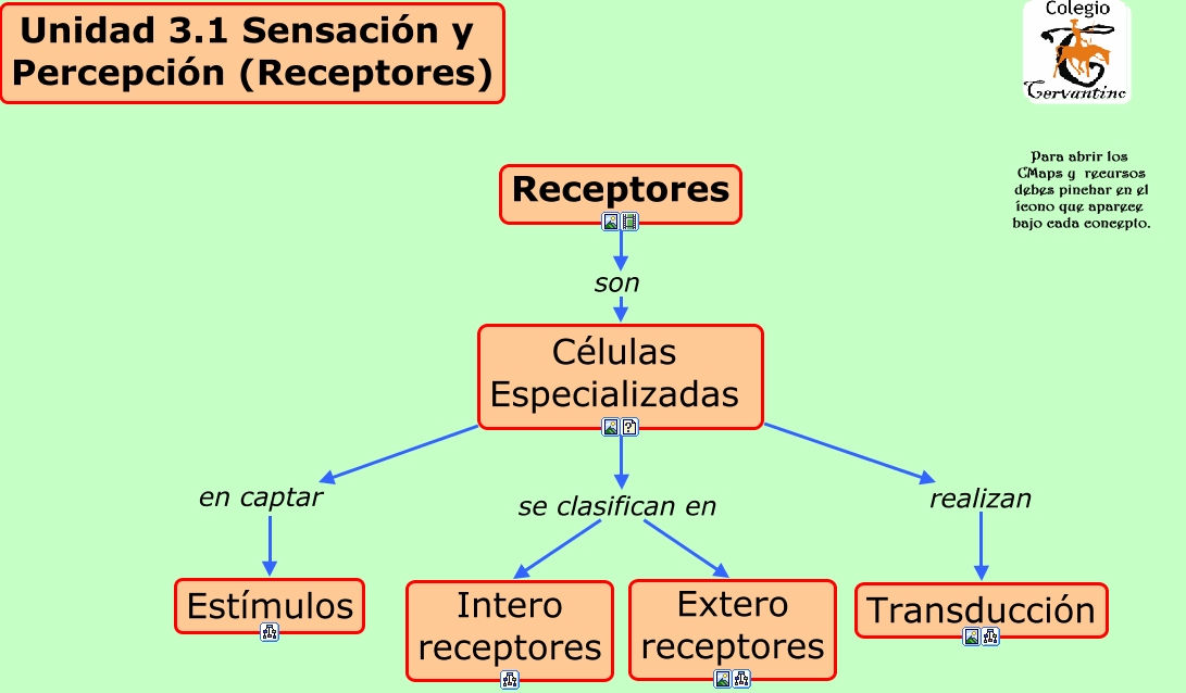 3.1 RECEPTORES