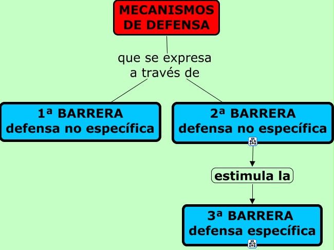 MECANISMOS DE DEFENSA