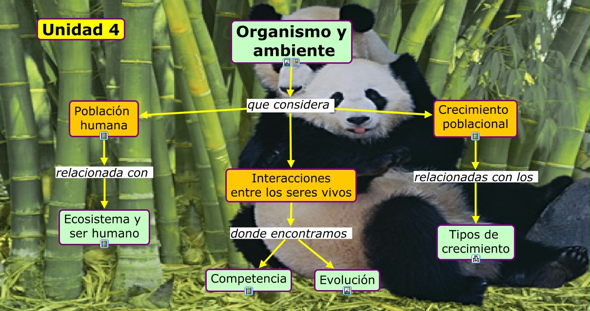 ORGANISMO Y AMBIENTE