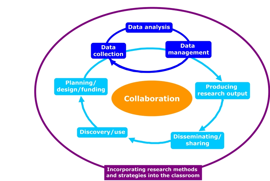 Research cycle