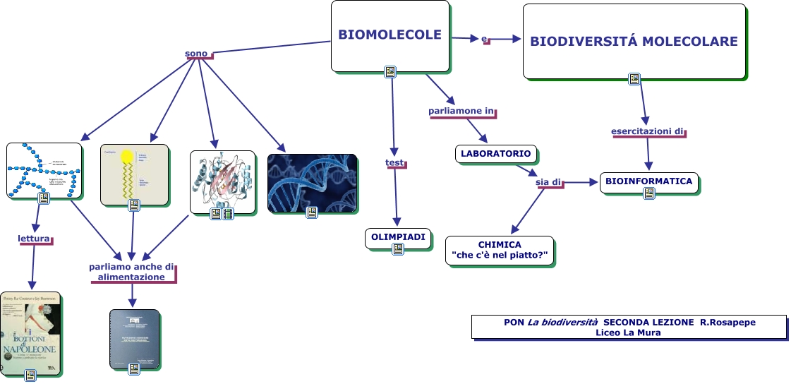 Biodiversità-Biomolecole Rossana Rosapepe - Mappa elaborata per una lezione del progetto PON L ...