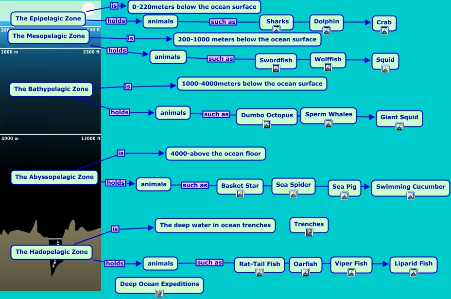 Jessica Pearce Ocean Levels