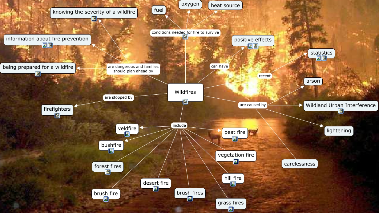 Wildfires by Bre Perlwitz