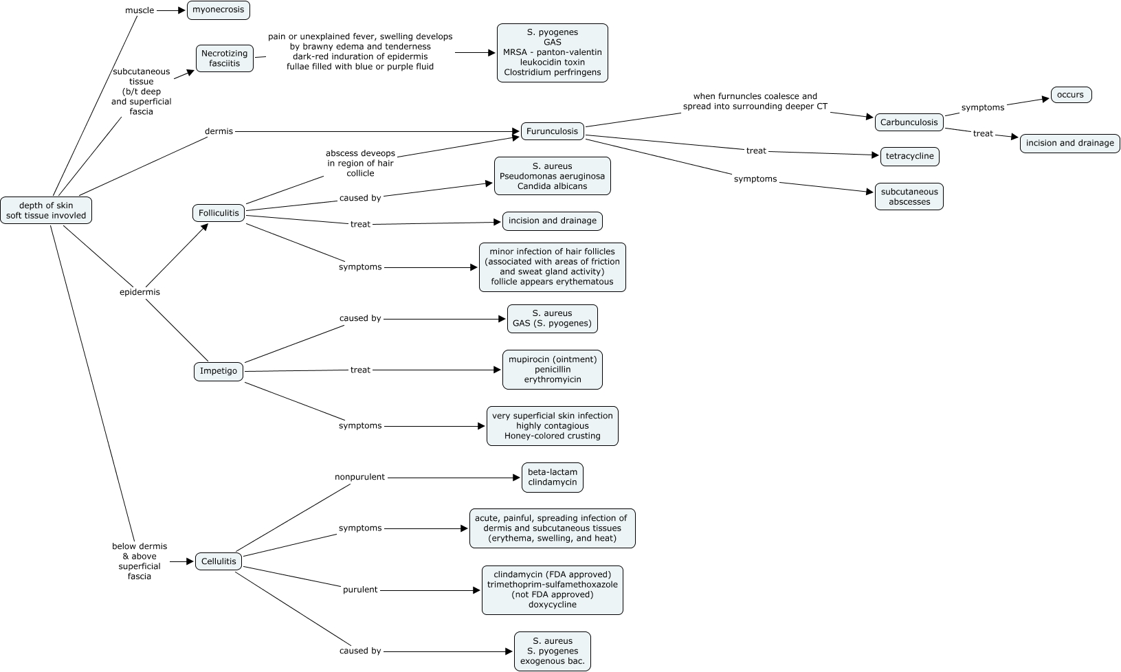 impetigo_folliculitis_furunculosis_carbunculosis_cellulitis_etc
