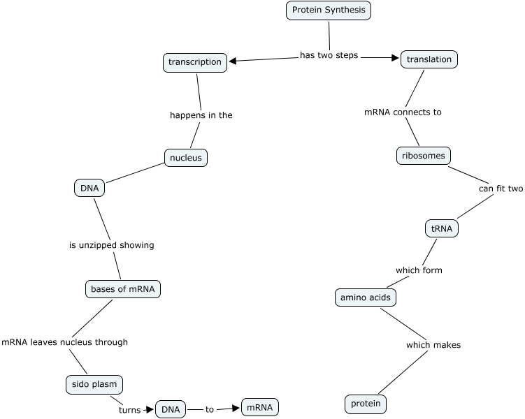 Protein Synthesis - What is protein sunthesis?