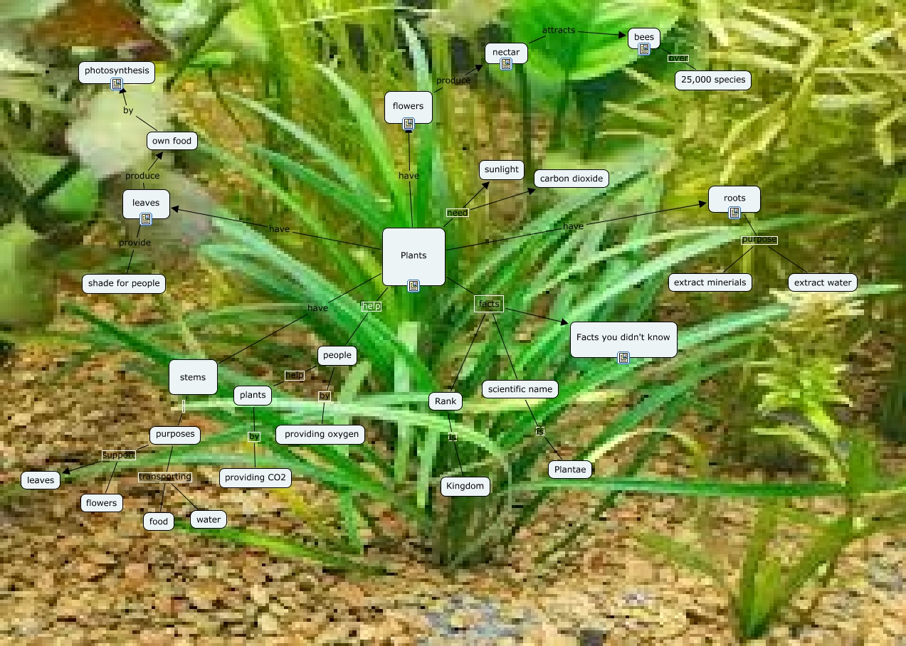 Dylan Gass Plant Cmap