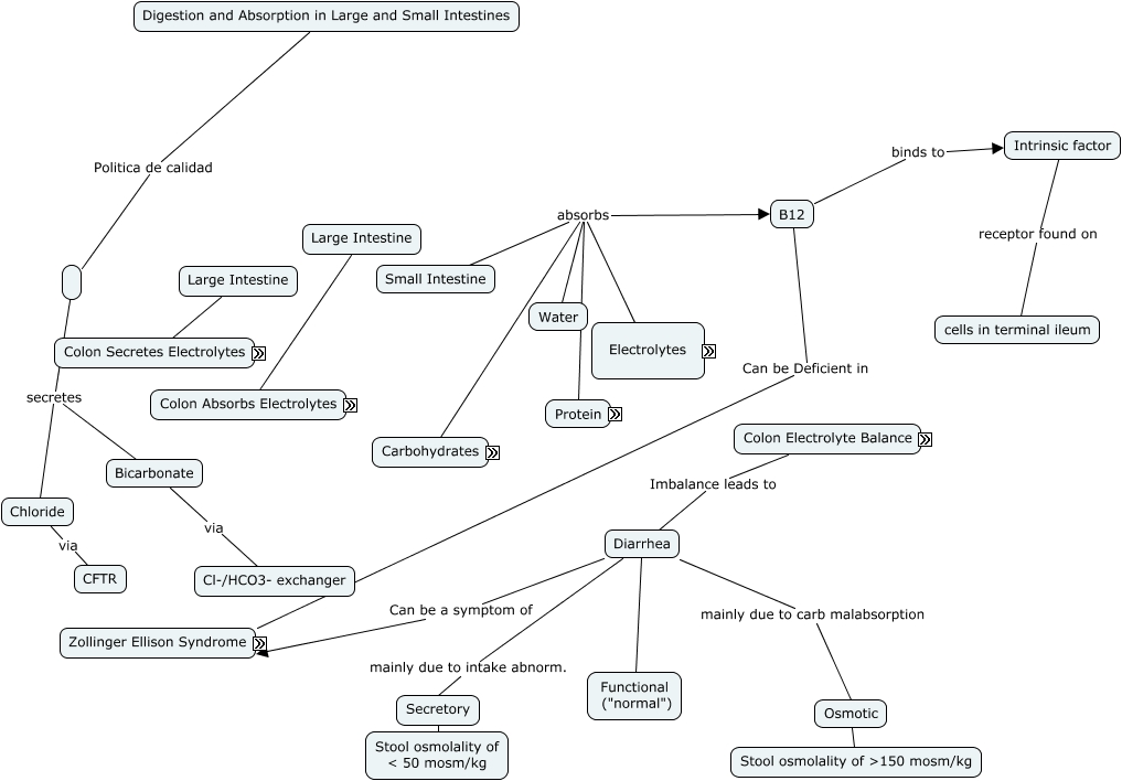 GI Wk 4 Small Intestine and Nutrients