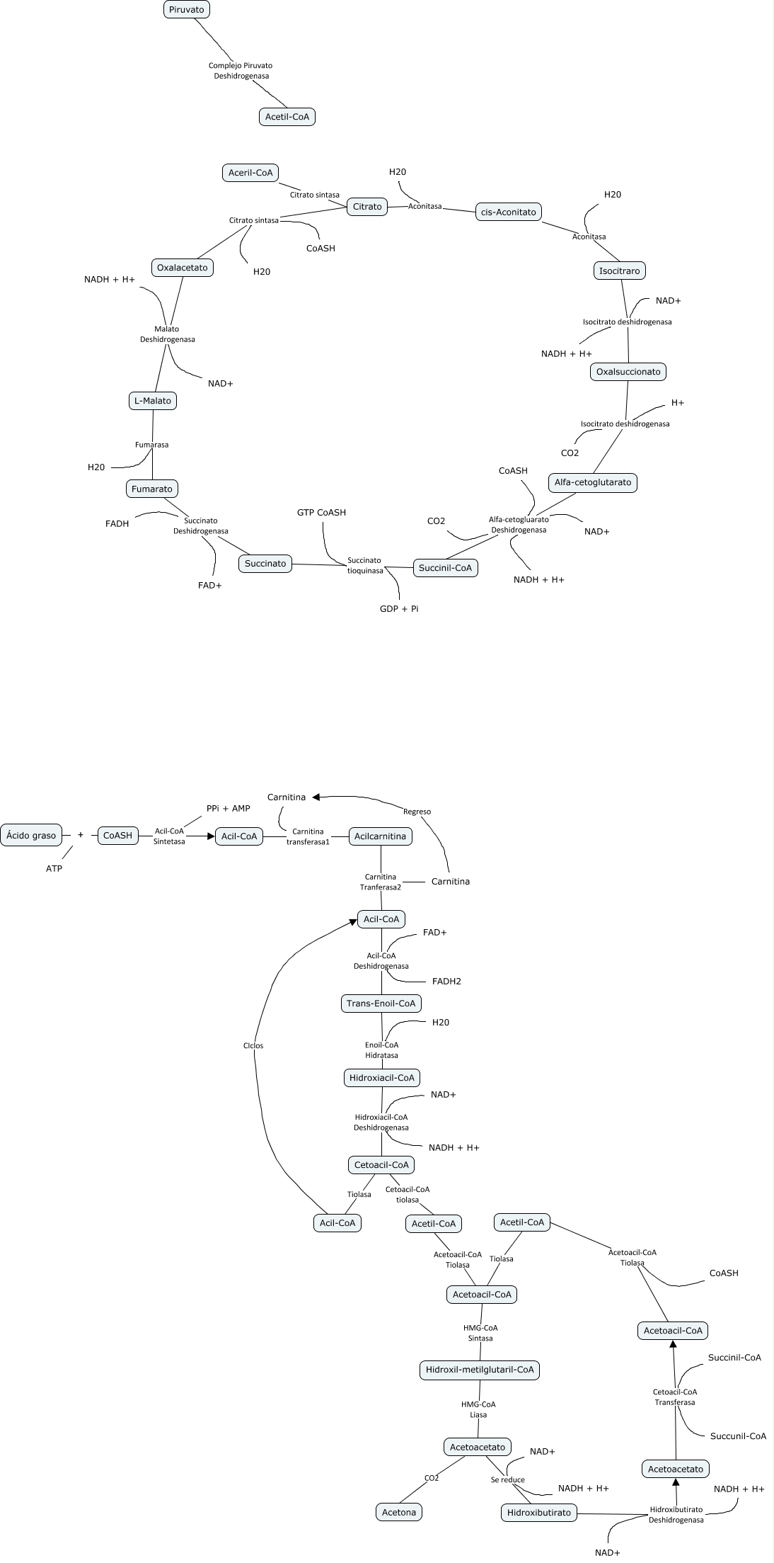 Mapa bioquímica