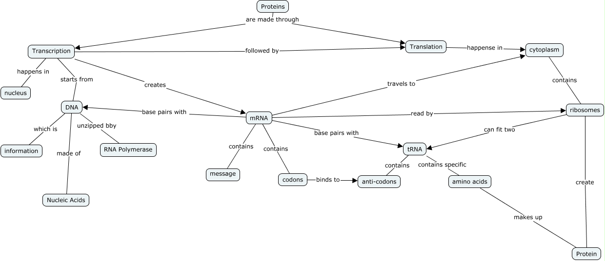Protein concept map