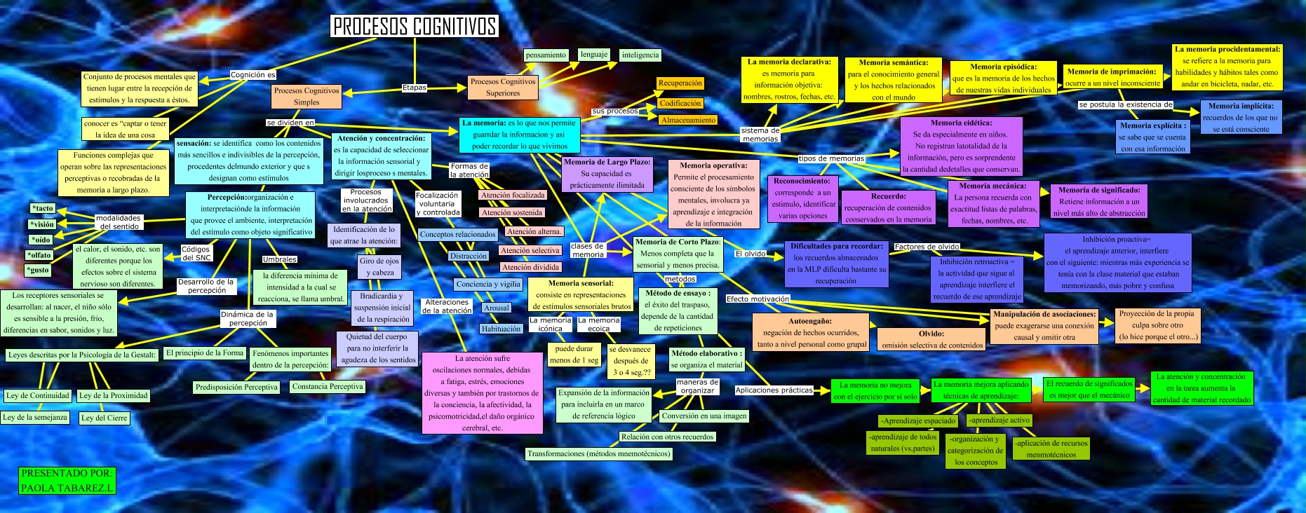 Procesos Cognitivos - ¿ Que es cognición?