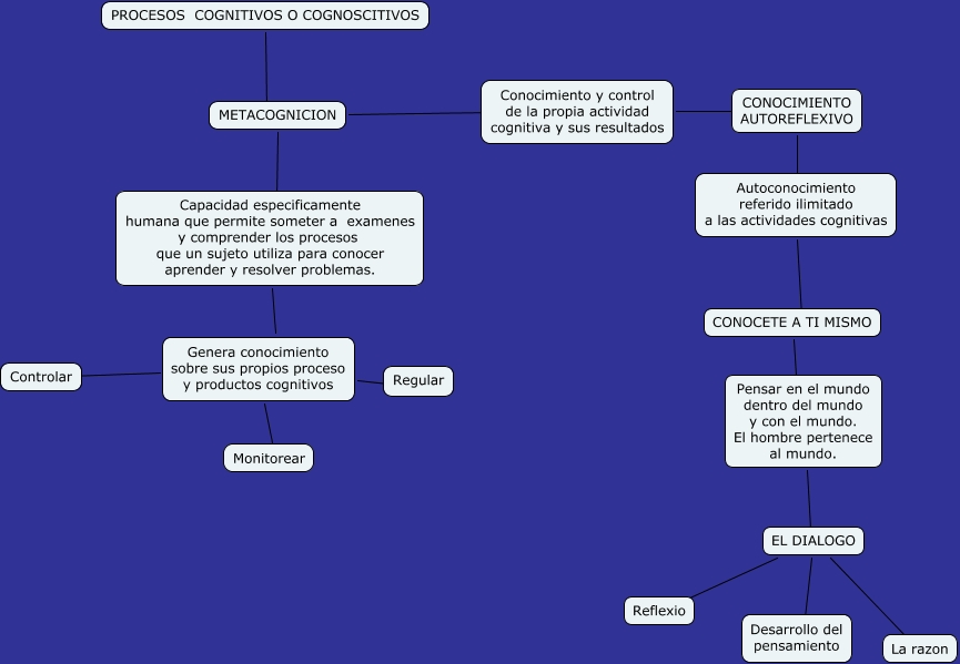PROCESOS COGNITIVOS O COGNOSCITIVOS