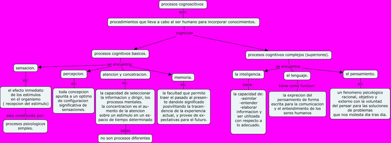 1 PROCESOS COGNITIVOS - QUE SON LOS PROCESOS COGNITIVOS