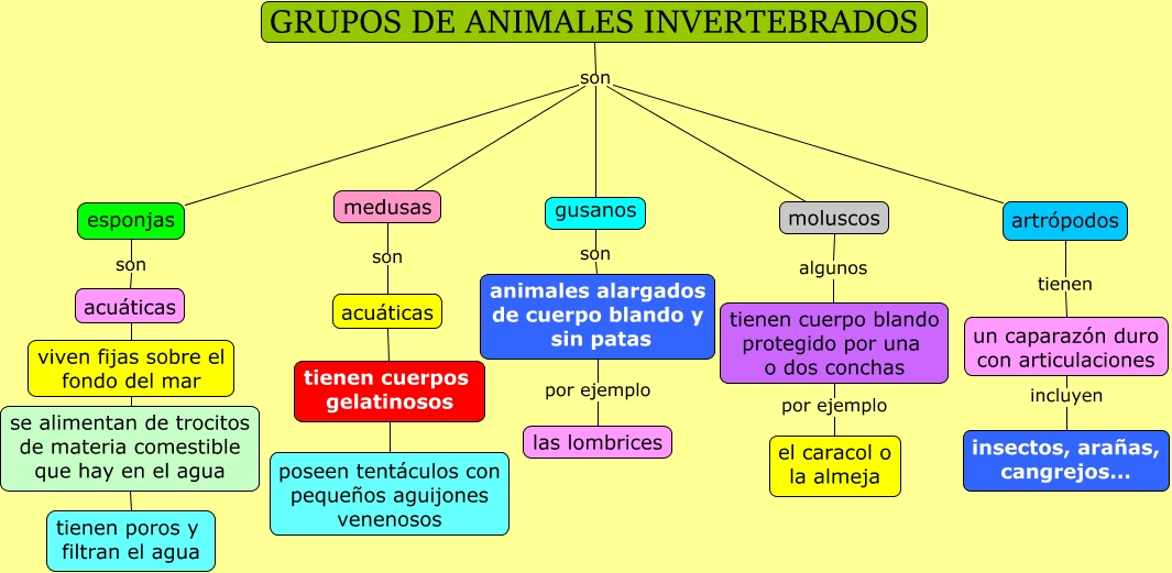 GRUPOS DE ANIMALES INVERTEBRADOS