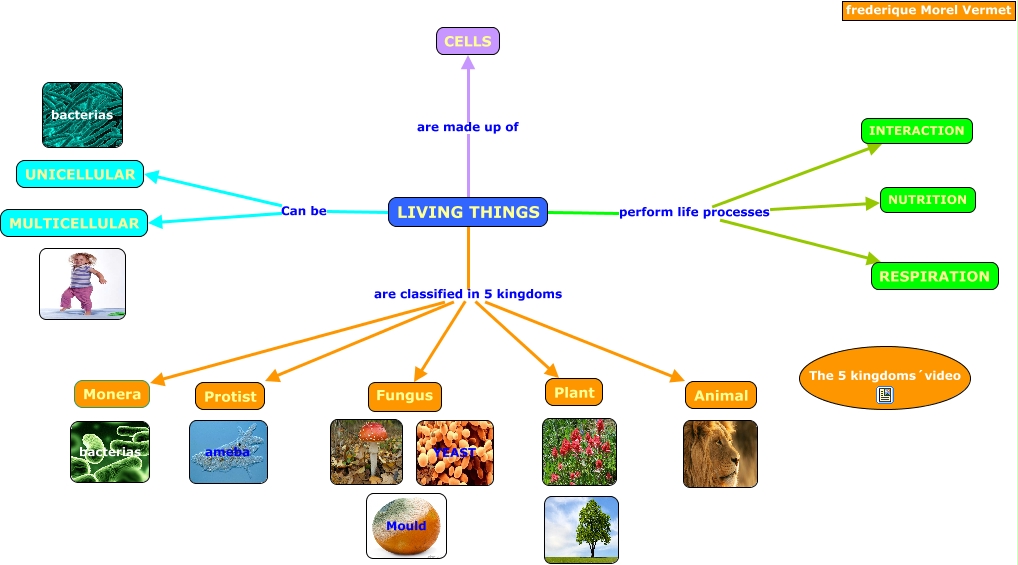 science - the 5 kingdoms