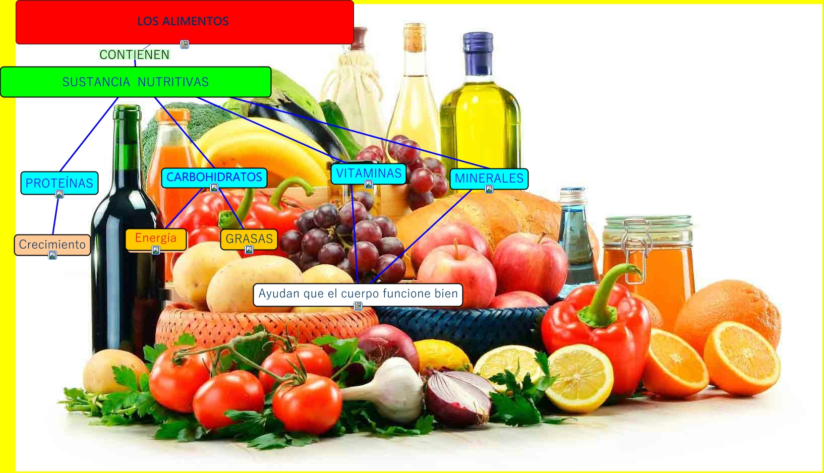 los alimentos