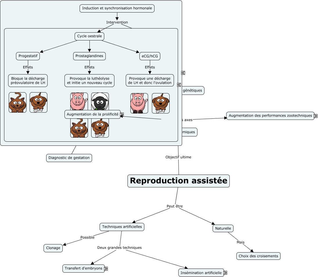Reproduction assistée 1e version