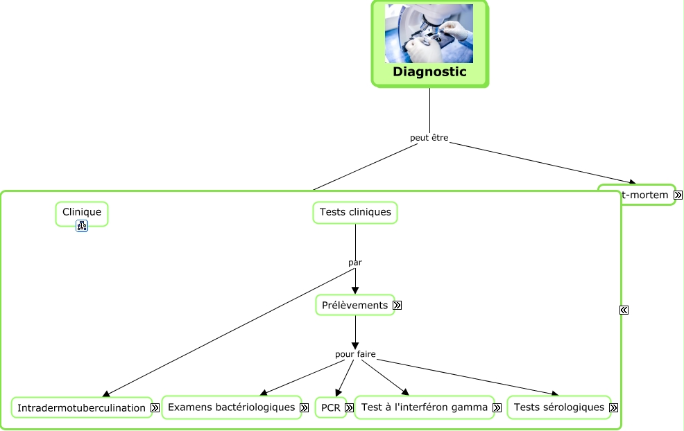 Diagnostic numéro 3