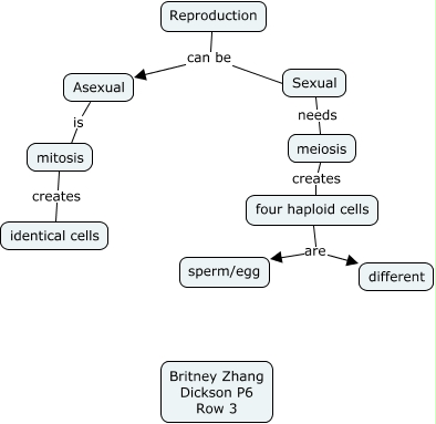 Reproduction - What is reproduction?