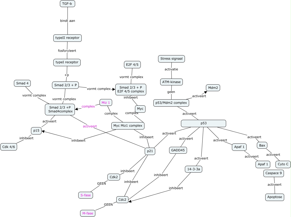 Cmap WG 1A en 2B - Kimmy