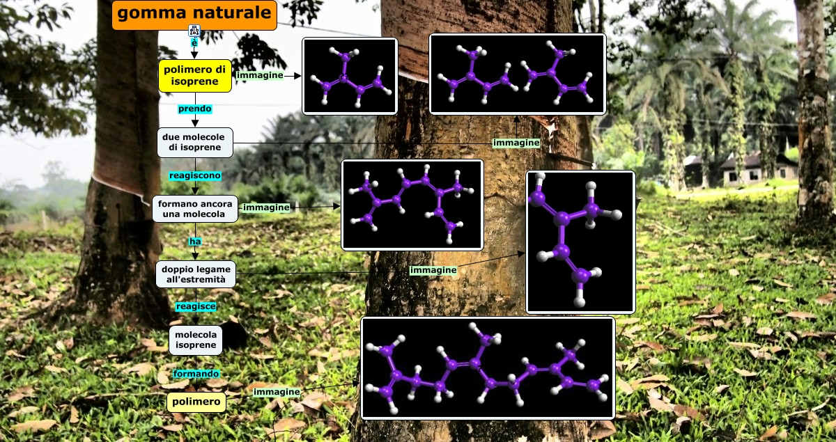 9.2.2.1 Polimero di isoprene