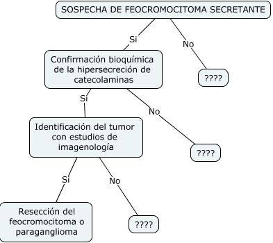 FEOCROMOCITOMA SECRETANTE