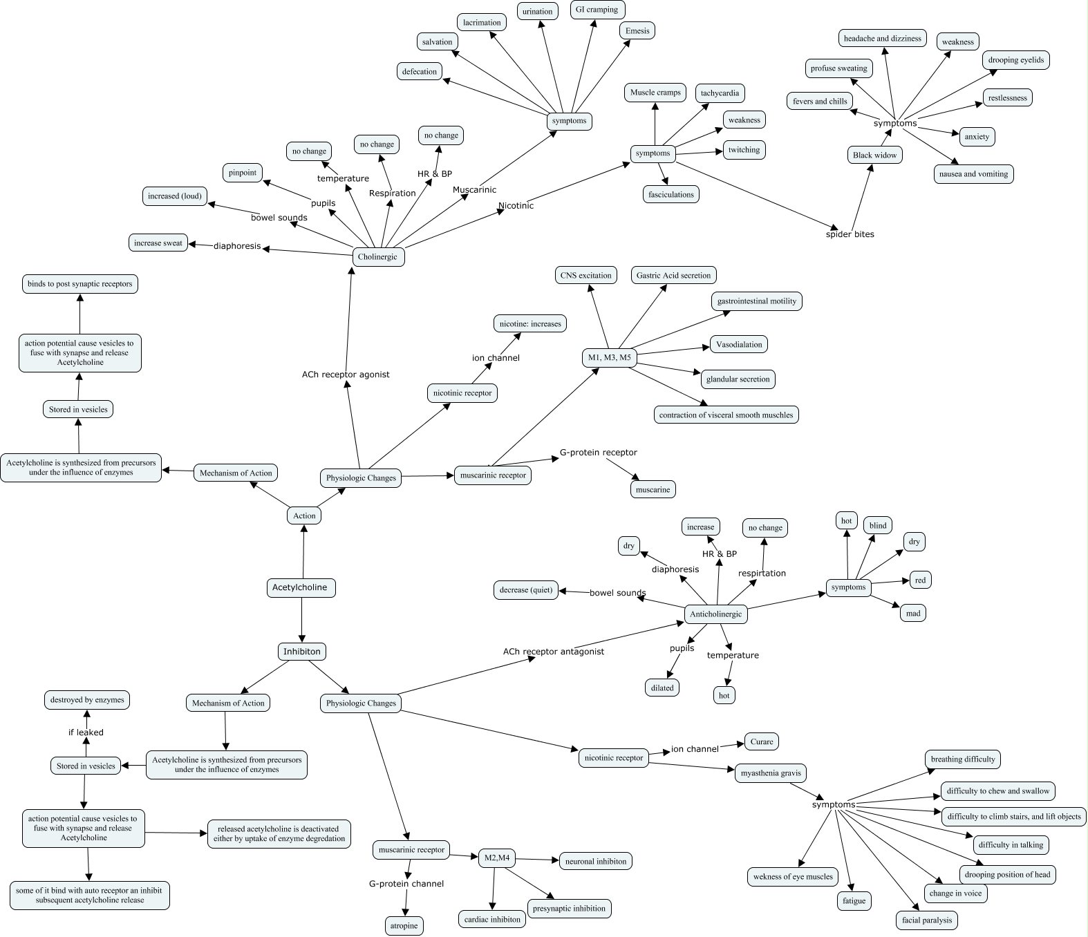 ACh pathway Week 5