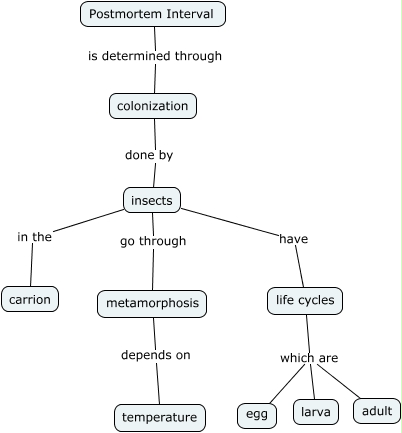 PMI - How is PMI determined