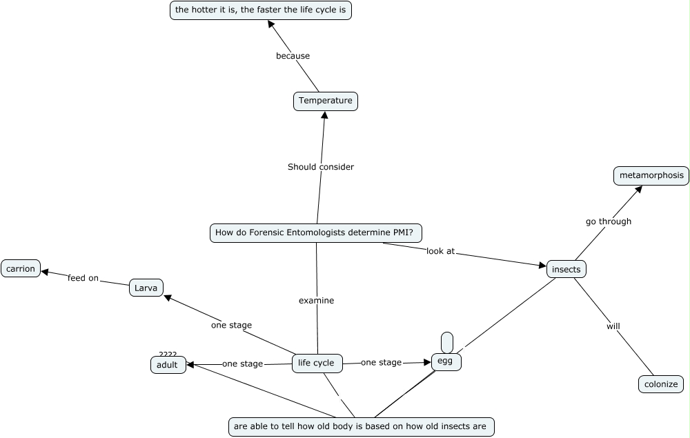 Post Mortem Interval Concept Map - How do forensic entomologists ...