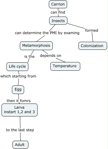 Post mortem interval concept map - How do forensic entomologists ...