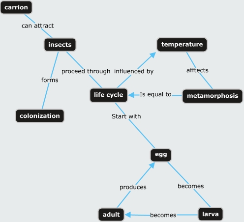 Postmortem interval concept map - How do forensic entomologists ...