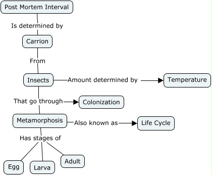 Post Mortem Interval - How do forensic entomologists determine PMI?