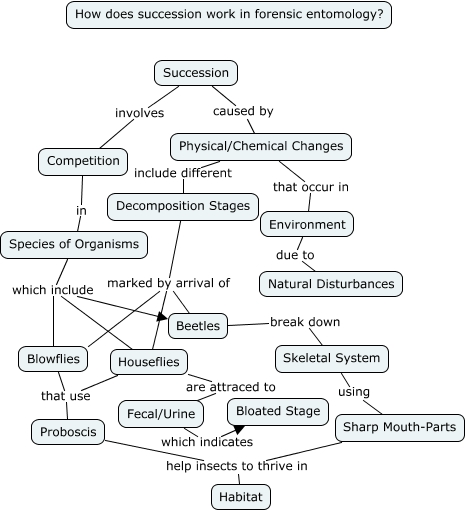 Succession - How does succession work in forensic entomology?