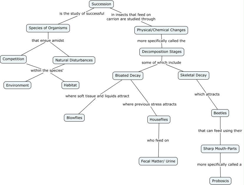 Succession Concept Map - How does succession work in forensic entomology?