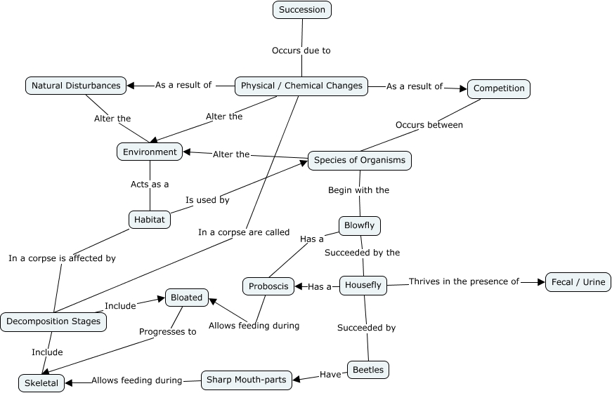 Succession Map - How does succession work in forensic entomology?