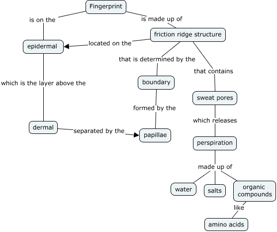 Fingerprint Anatomy&Physiology