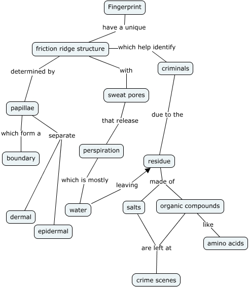 FInger Print Concept Map, Skin - How does the anatomy/phisiology of our ...