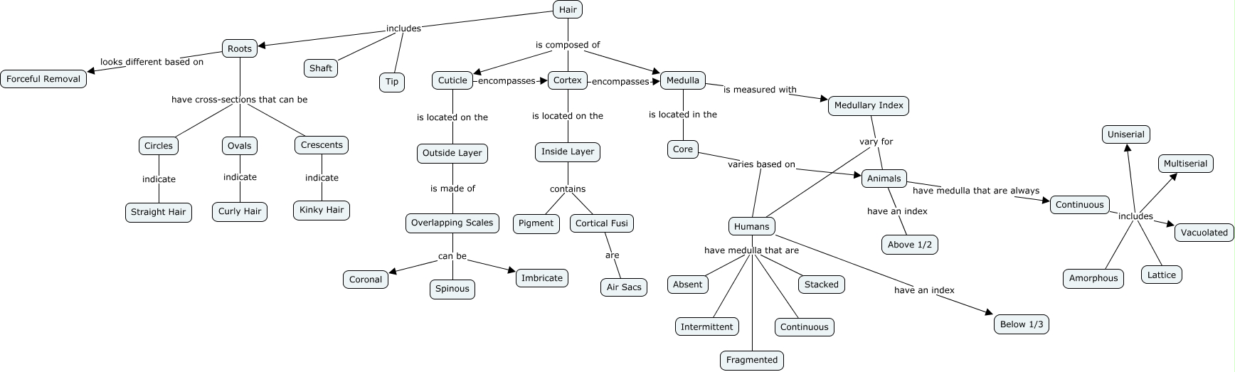 Hair - What is the structure of hair?