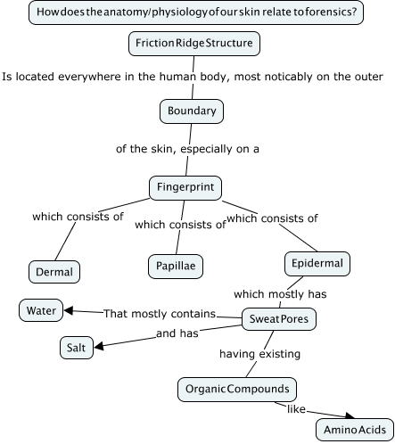 Fingerprinting Concept Map Skin