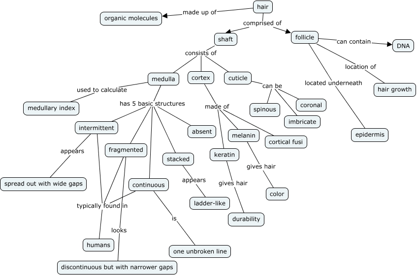 Hair Structure - What is the structure of hair?